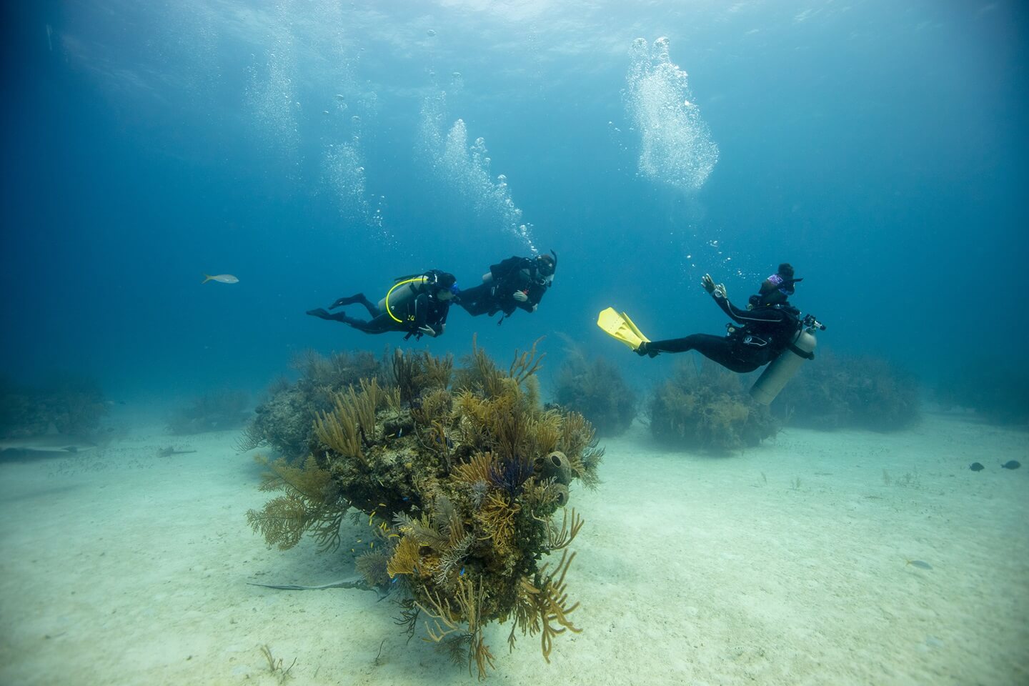 3 Reasons to Love Being a PADI Instructor (and how to rekindle lost love)